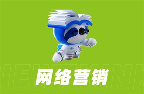 利用数据驱动决策来优化广告的技术 青岛新思维网络