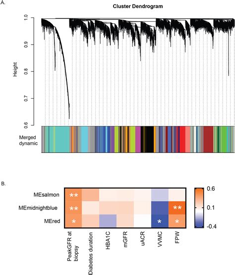 Molecular Programs Associated With Glomerular Hyperfiltration In Early