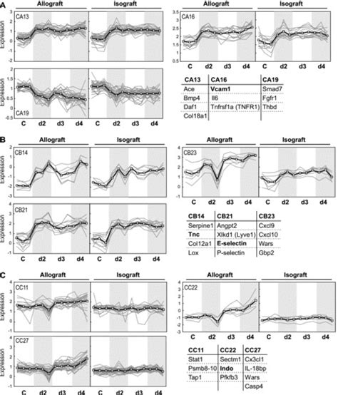 Cluster Analysis Of Gene Expression In Graft Endothelial Cells