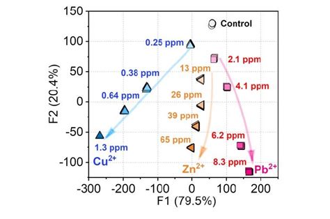 Semi Quantitative Assay For Pb 2 Zn 2 And Cu 2 By The Single Download Scientific Diagram