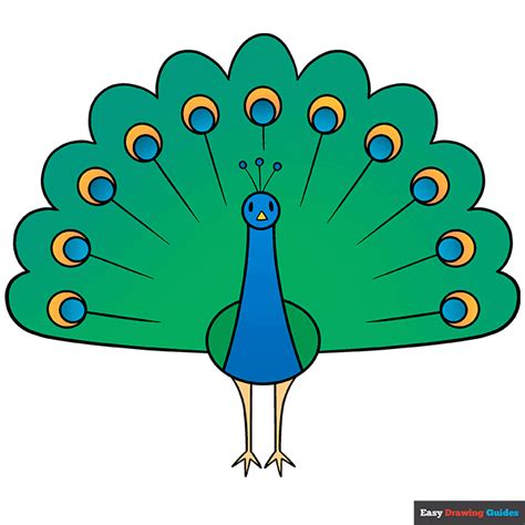 How To Draw An Easy Peacock Really Easy Drawing Tutorial Bilarasa