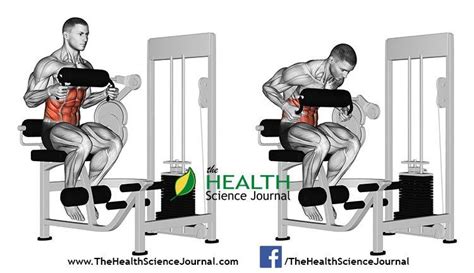 66 Best Ab Workouts For Men And Women Part 1 The Health Science Journal Abs Workout Best