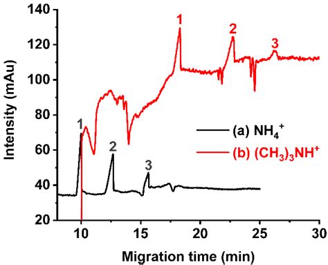 Effect Of Counterion On The Separation Download Scientific Diagram