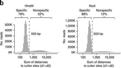 Normalization Of Hi C Data