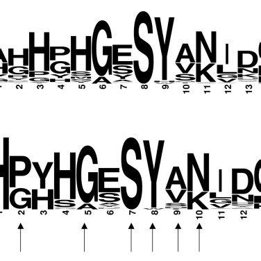 C Terminal Sequence Motif Identified By MEME Analysis A Sequence Logo