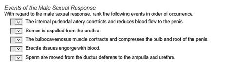 Solved Events Of The Male Sexual Response With Regard To The Chegg Com