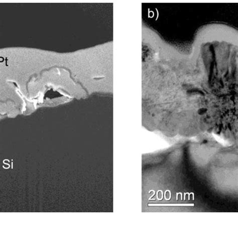 Microstructure Of Defect A A Sem Micrograph Of A Fib Cross Section