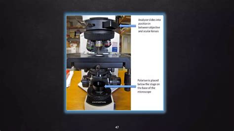 Types Of Microscopes Pptx Photography Arts And Crafts