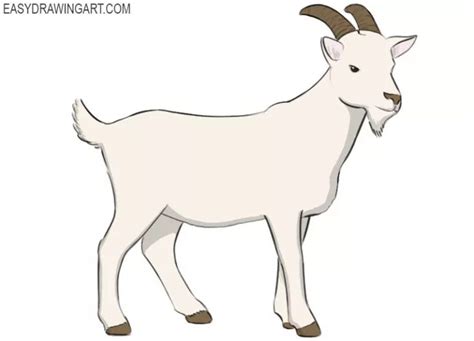 How To Draw A Goat Easy Drawing Art Drawings Goat Paintings Cartoon Goat Drawing Easy
