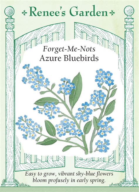 Forget Me Not Azure Bluebirds Seeds Shopic