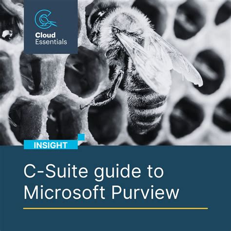 Cloud Essentials On Linkedin Datagovernance Datacompliance Microsoftpurview