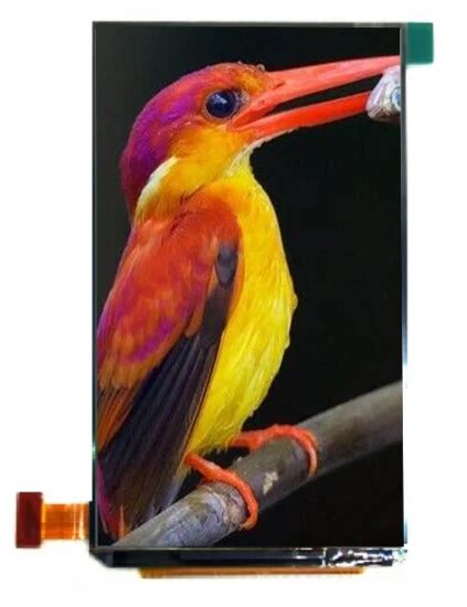 High Definition Inch Am OLED Display With Touch Full Color For Medical China OLED Display