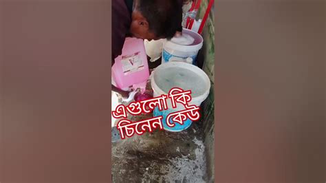 এগুল কি আজ নতুন দেখলাম Duet Bamboocrafts Youtube