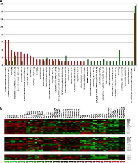 Distribution Of The Annotated Genes Into Kegg Functional Categories
