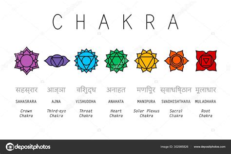 Basic Human Chakra System Chakras Set Of Seven Chakra Symbols Of Human