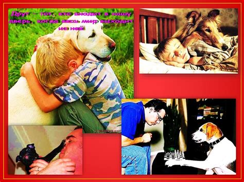 Четвероногие друзья - презентация онлайн