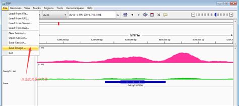 Chip Seq Dap Seq Atac Seq Cutandtag结果可视化 Igv使用攻略 知乎
