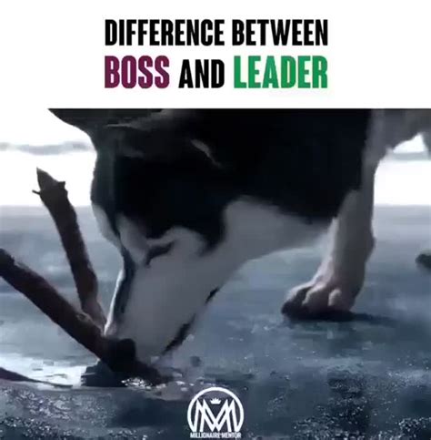 [video] Leadership Empowering Teams💪 On Linkedin Leader Vs Boss 👉 2 Books You Should Read ️ 🥇