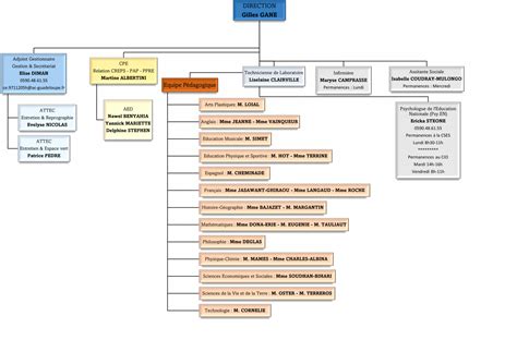 Organigramme De La Cses Cité Scolaire Dexcellence Sportive