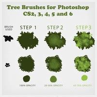 Tree Brushes Tutorial And Brushes Photoshop Brushes