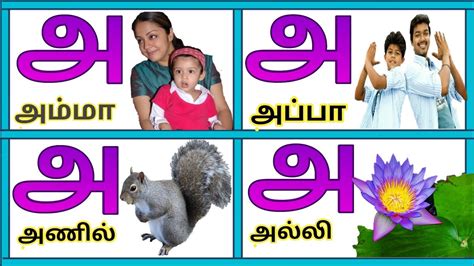 Uyir Eluthukkal அ வரிசை உயிர் எழுத்துக்கள் அடிப்படை தமிழ் Learn Tamil Albhabets Youtube