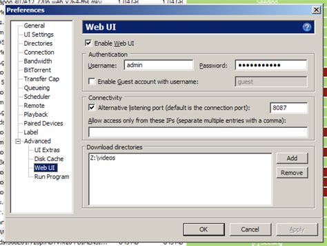 Drive Letters Are Case Sensitive When Adding To UTorrent On Windows