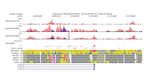 IDEAS An Integrative And Discriminative Epigenome Annotation System Invent Penn State