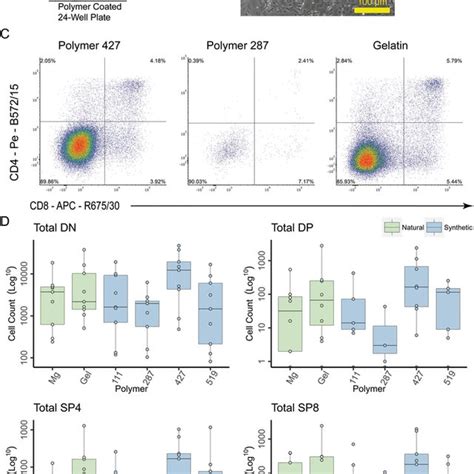 Chemical Structures Of The Polymer Building Blocks Diagrams Show