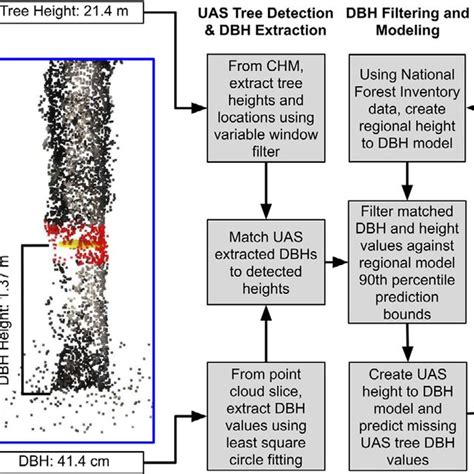 workflow diagram of tree metric extraction spatial matching regional