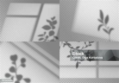 창 그림자 를 오버레이합니다 현실적인 나뭇잎과 창 프레임 단색 자연 조명 투명 소프트 라이트 자연 효과 벡터 세트 베틀에 대한 스톡 벡터 아트 및 기타 이미지 Istock