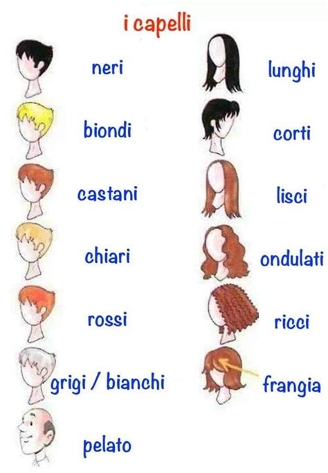 I capelli Palavras em italiano Aprender italiano Vocabulário italiano