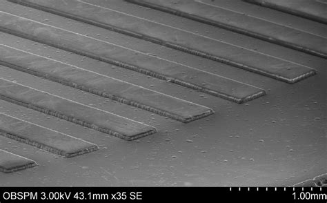 6 The Dammann Grating Edge Viewed With A Sem Download Scientific Diagram