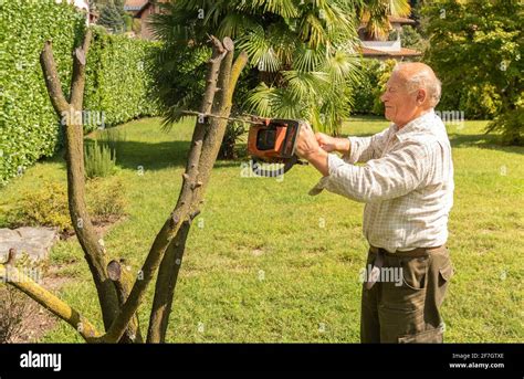 Man Cutting Tree Hi Res Stock Photography And Images Alamy