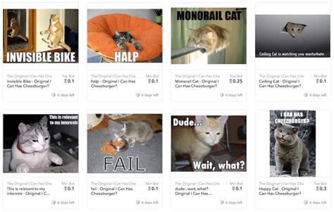 Some Of The Original I Can Has Cheezburger Lolcat Memes Are Now