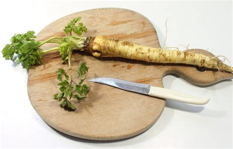 Parsnip Stock Image Image Of Nutritious Macro Produce