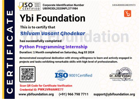 python programming internship 30days pdf