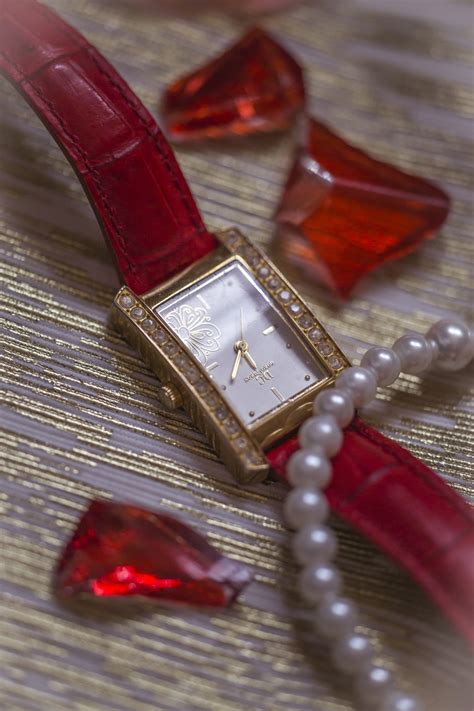 무료 이미지 시간 보석류 빨간 호박색 카민 유행 마젠타 천연 소재 적갈색 Material Property 바디 쥬얼리 Coquelicot 아직도