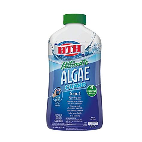 Best Pool Algae Killer 2025 Where To Buy