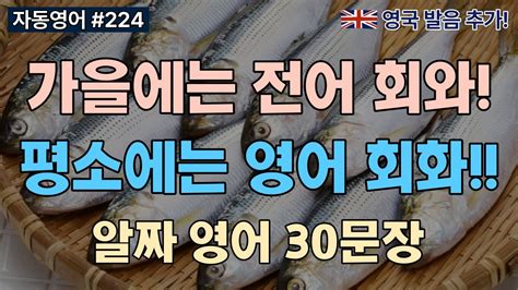 👩‍🏫초보 탈출 알짜 영어 표현 30가지 😄 계속 듣다 보면 영어가 쉬워집니다 📚0224 영어듣기 영어회화 흘려듣기 귀뚫기 쉐도잉 Youtube