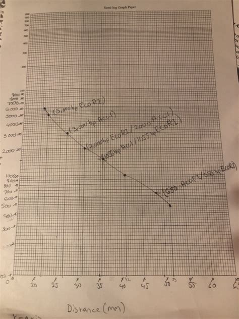 Plasmid Mapping On The Rubric I Need Help With The Chegg Com