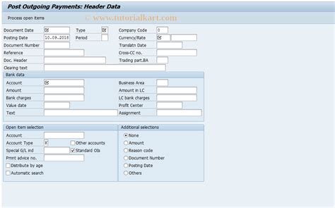 FBZ SAP Tcode Post Outgoing Payments
