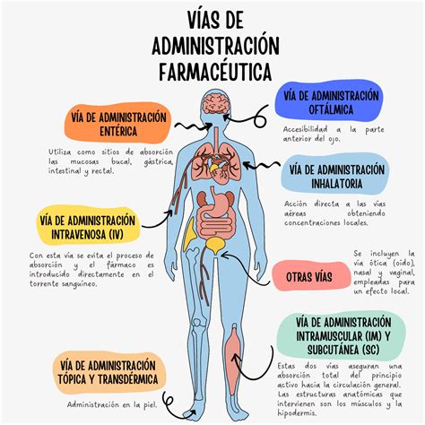 Vías De Administración De Medicamentos Resúmenes De Farmacia Docsity