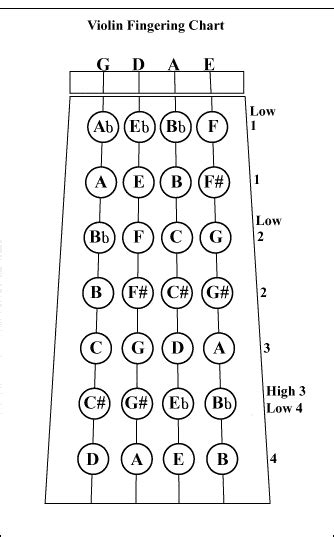 Violin Strings Diagram