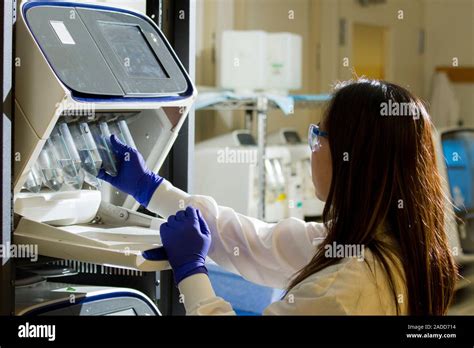 Dna Genotyping And Sequencing Technician Preparing For A Viral Whole Genome Sequencing