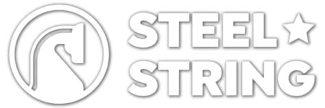Home Steel String