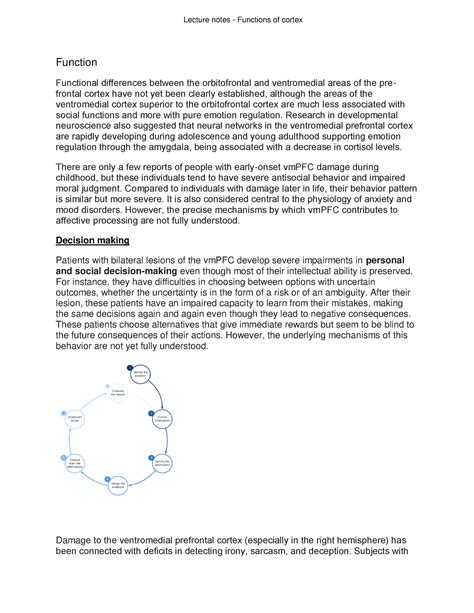 Lect Notes Functions Of Cortex Function Functional Diffеrеncеs Bеtwееn Thе Orbitofrontal And
