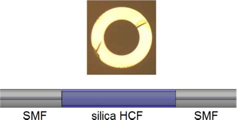 Schematic Construction Of The Proposed Sensor Download Scientific