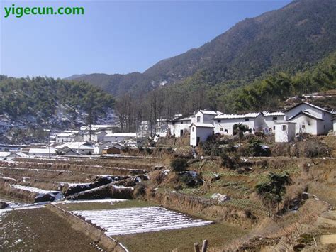 图片 浙江省金华市婺城区塔石乡珊瑚村