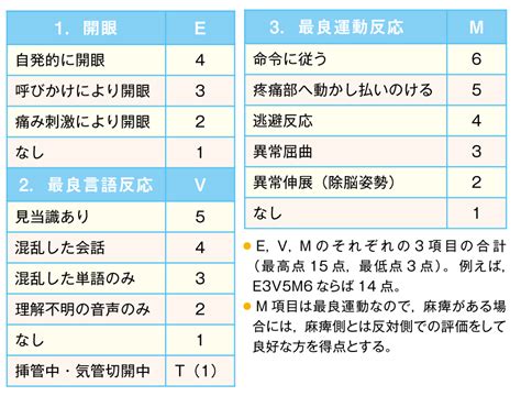 Images Of Japan Coma Scale Page JapaneseClass Jp