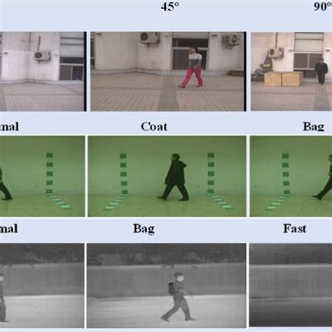 The Proposed Gait Recognition Model Download Scientific Diagram